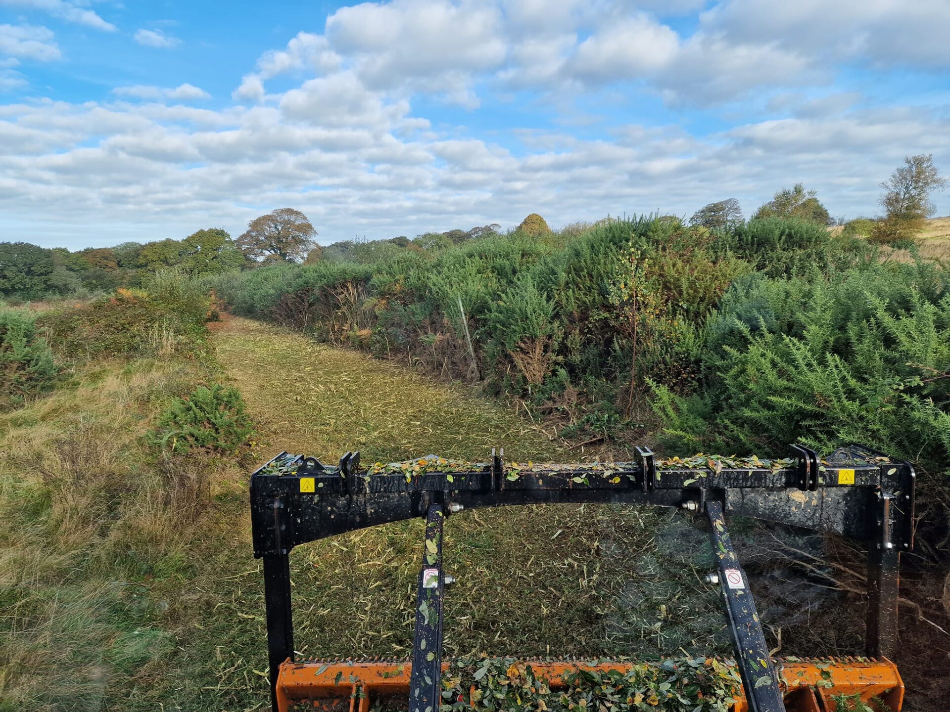 Grounds Clearance Cornwall - Travis Wilton, Cornwall