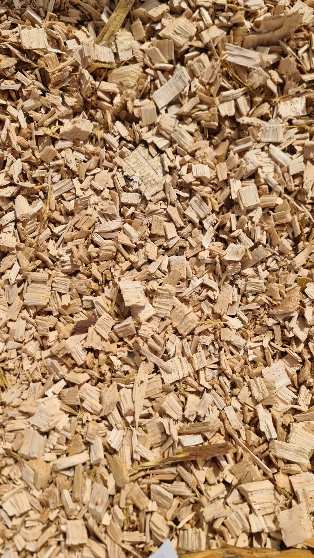 Biomass Chipping Cornwall - Travis Wilton, Cornwall